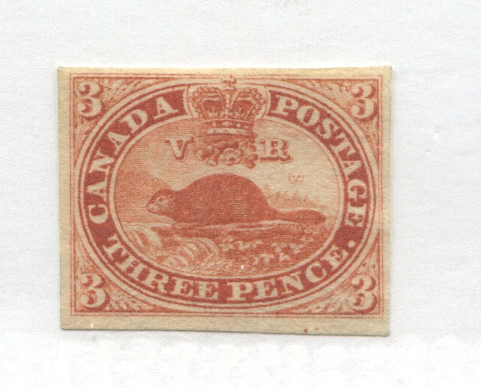 1852 3d Beaver mint no gum rich deep shade | Canada, Stamp / HipStamp