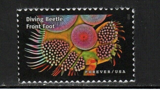 5802i * Diving Beetle Front Foot * Life Magnified * U.S. Postage Stamp ...