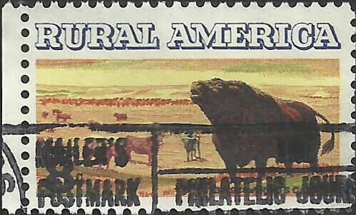 # 1504 Used Angus and Longhorn Cattle | United States, General Issue ...