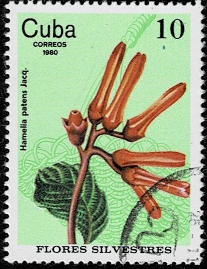 1980 Cuba Scott Catalog Number 2372 Used | Caribbean - Cuba, Stamp ...