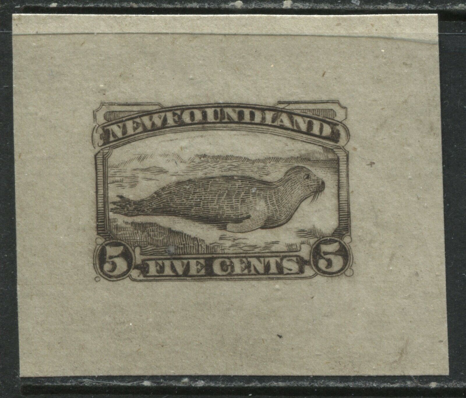 Newfoundland 1880 5¢ bogus Progressive Plate proof by Gregory Prosser ...