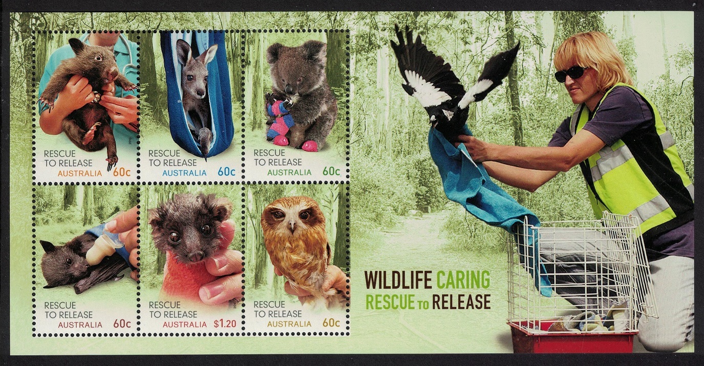 Australia Owl Bird Wombat Kangaroo Koala Fox Wildlife MS 2010 MNH SG# ...