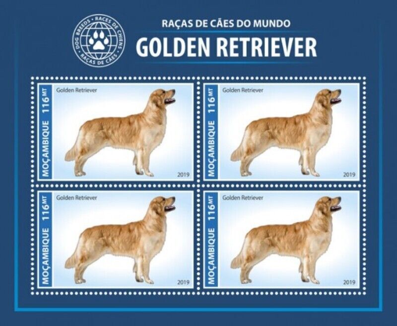 Mozambique - 2019 Dog Breeds Golden Retriever - 4 Stamp Sheet ...