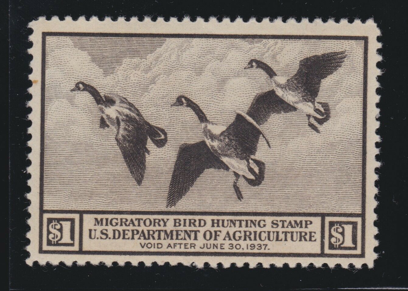 US RW3 $1 Federal Duck Stamp Mint VF-XF OG NH SCV $325 | United States ...