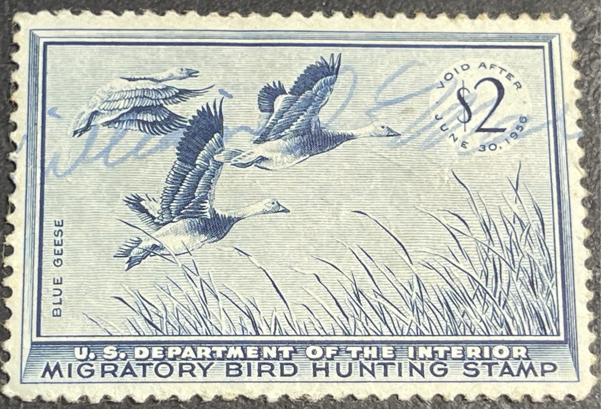 U.S.# Rw22-Used---Federal Duck Stamp---Single---1955 | United States ...