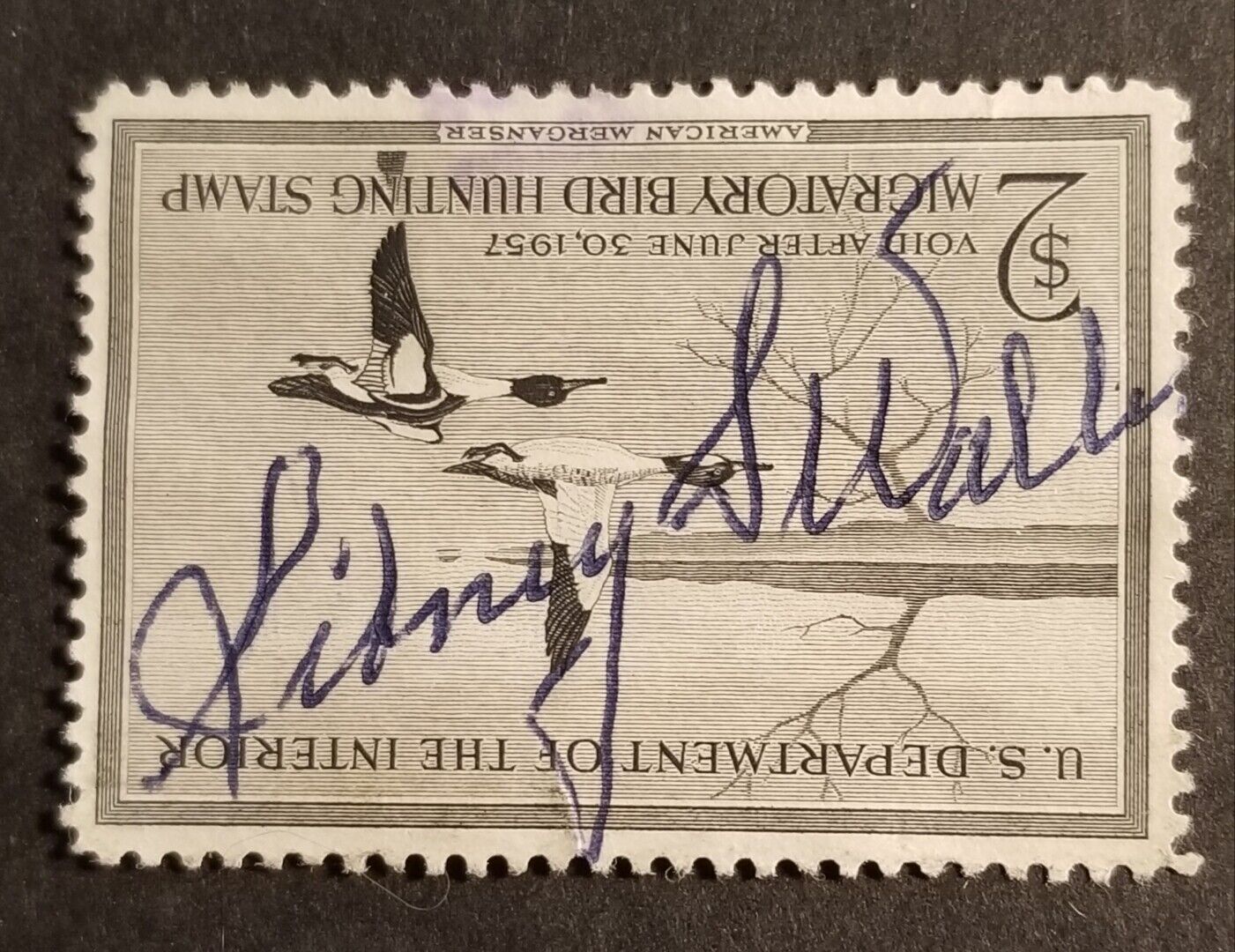 US Scott RW23 1956 Used Signed Duck Hunting Stamp z1974 | United States ...