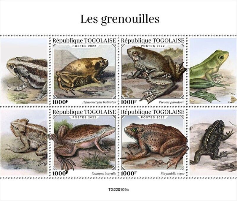Togo - 2022 Frogs, Shrinking Frog, Toad - 4 Stamp Sheet - TG220109a ...