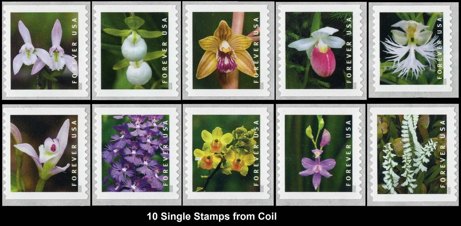 2020 US STAMP - Wild Orchids - Set of 10 Single (10 Coil Stamps) - SC ...