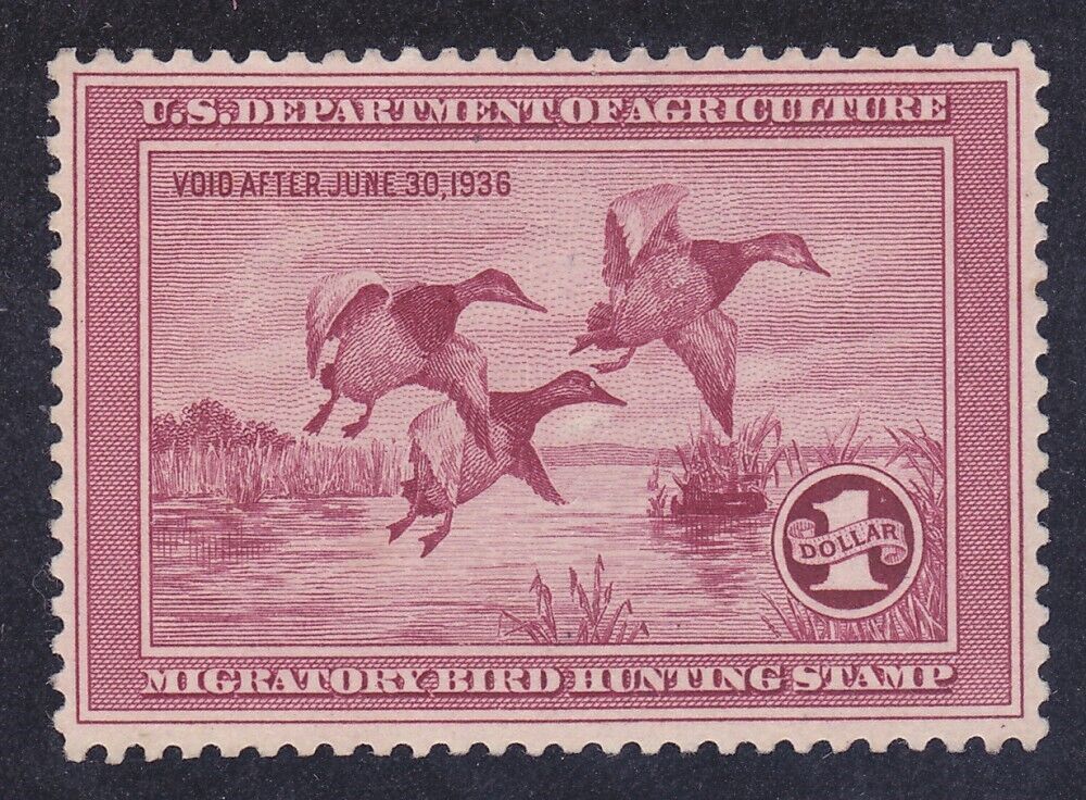 RW2 MNH OG 1935 $1 Canvasbacks Taking to Flight Duck Hunting Stamp ...