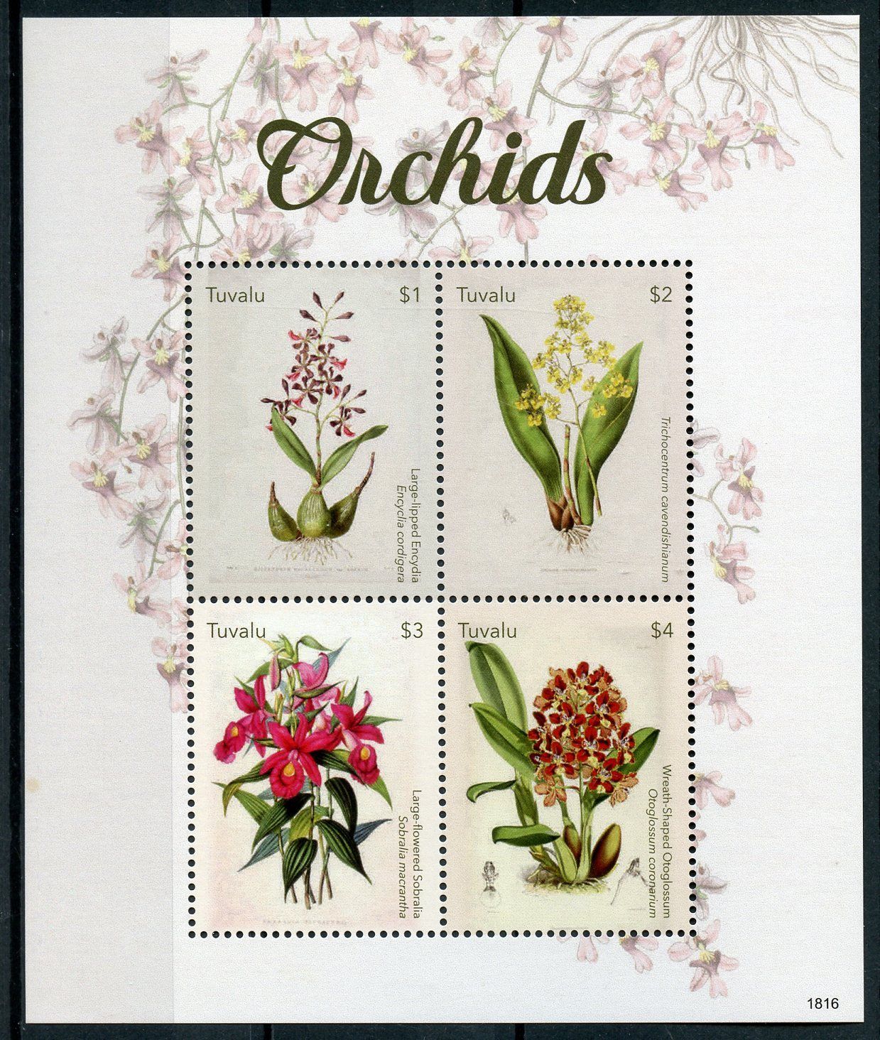 Tuvalu Flowers Stamps 2018 MNH Orchids Encydia Sobralia Orchid Nature ...