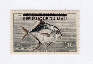 Rays Stamp Store / HipStamp