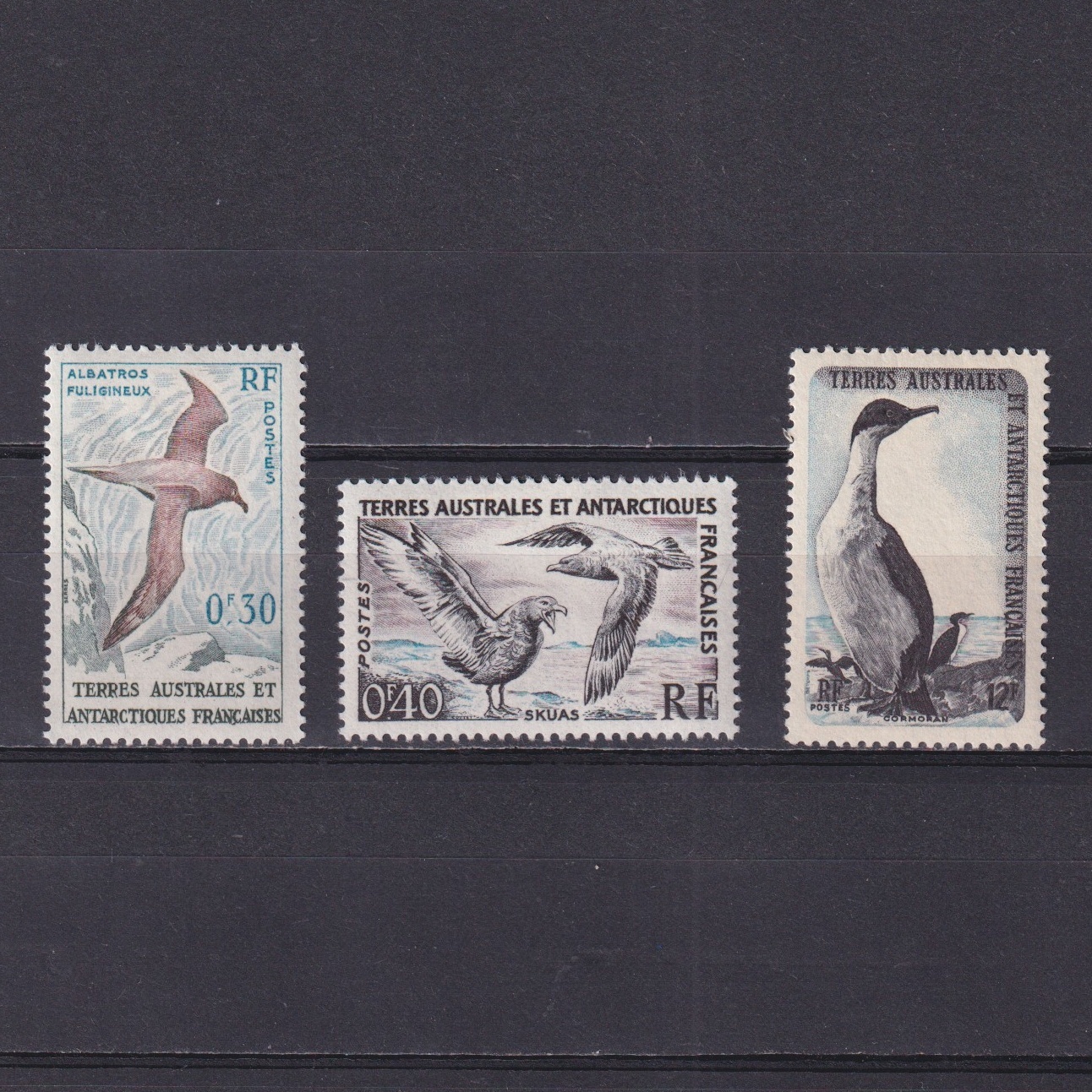 TAAF 1959, Sc# 12-14, Birds, MH | Worldwide - Antarctica, General Issue ...