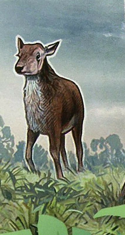 Extinct Animals of Asia Stamp Panthera Tigris Sondaica Megaloceros ...