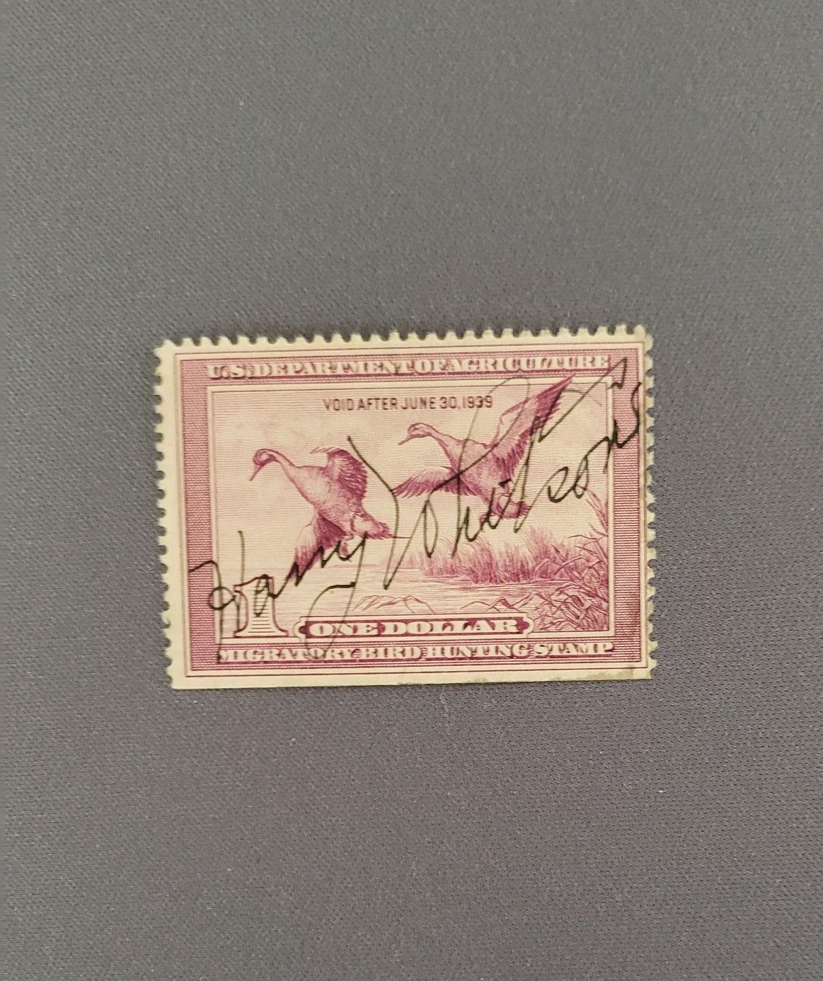 RW5, Pintail Drake, Used, CV $79.00 | United States, Duck Stamps ...