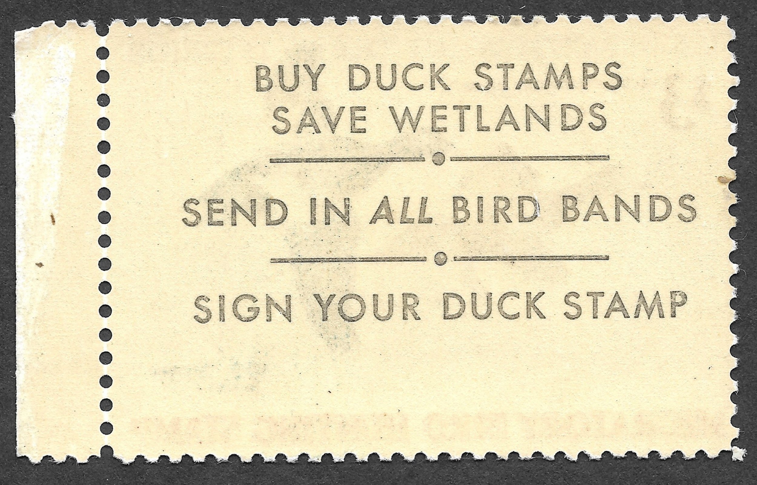 MNH 1969 Scott #RW36** Federal Duck Stamp | United States, Duck Stamps ...