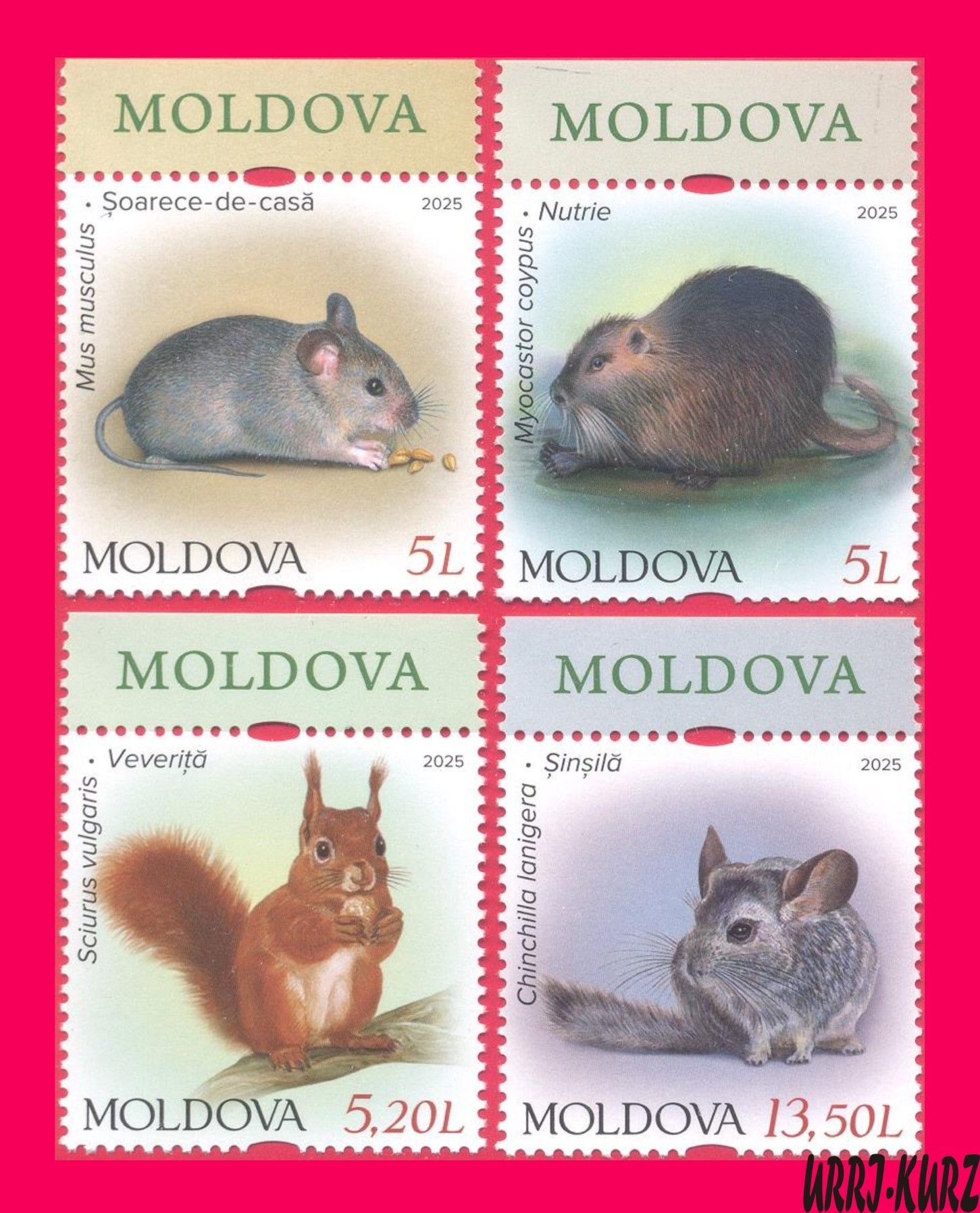 MOLDOVA 2025 Fauna Animal Mammal Rodent Mouse Nutria Squirrel ...