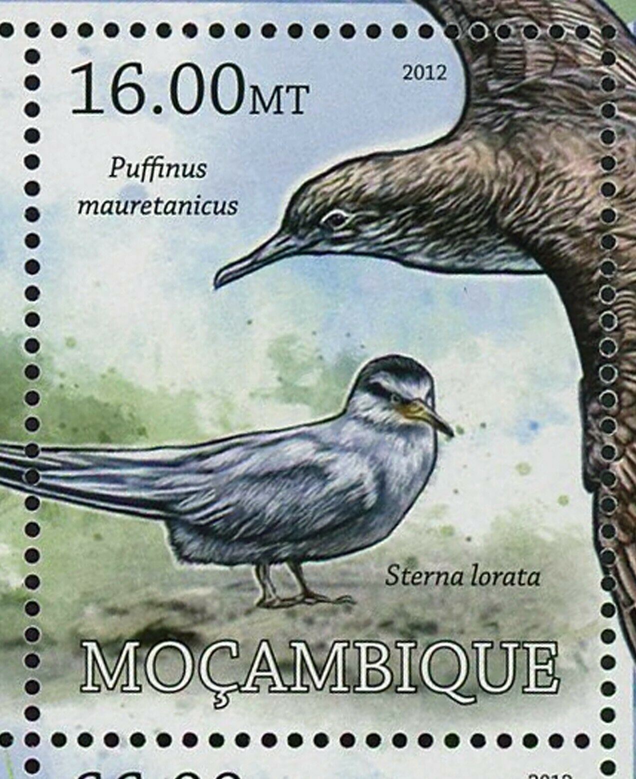 Sea Birds Stamp Puffinus Newelli Mitu Mitu Platalea Minor S/S MNH #5768 ...