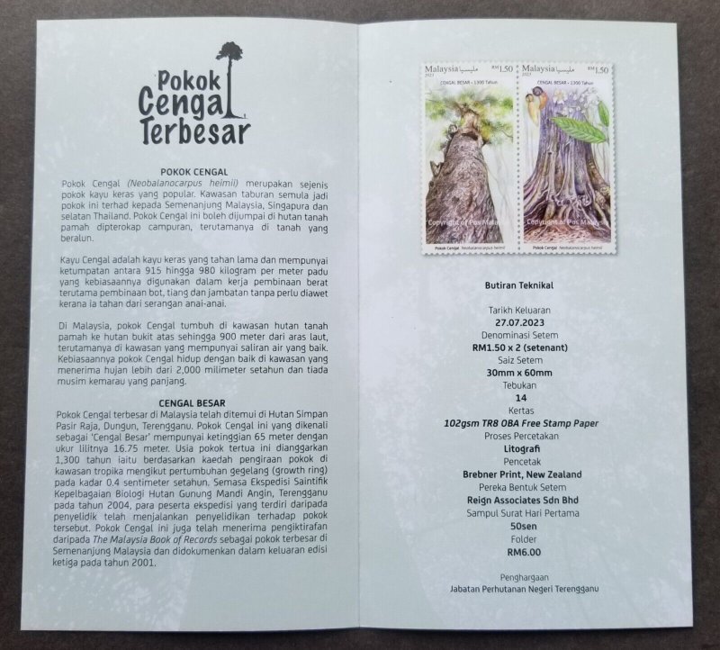 Malaysia Largest Cengal Tree 2023 Flower Seed Plant Forest Flora ...