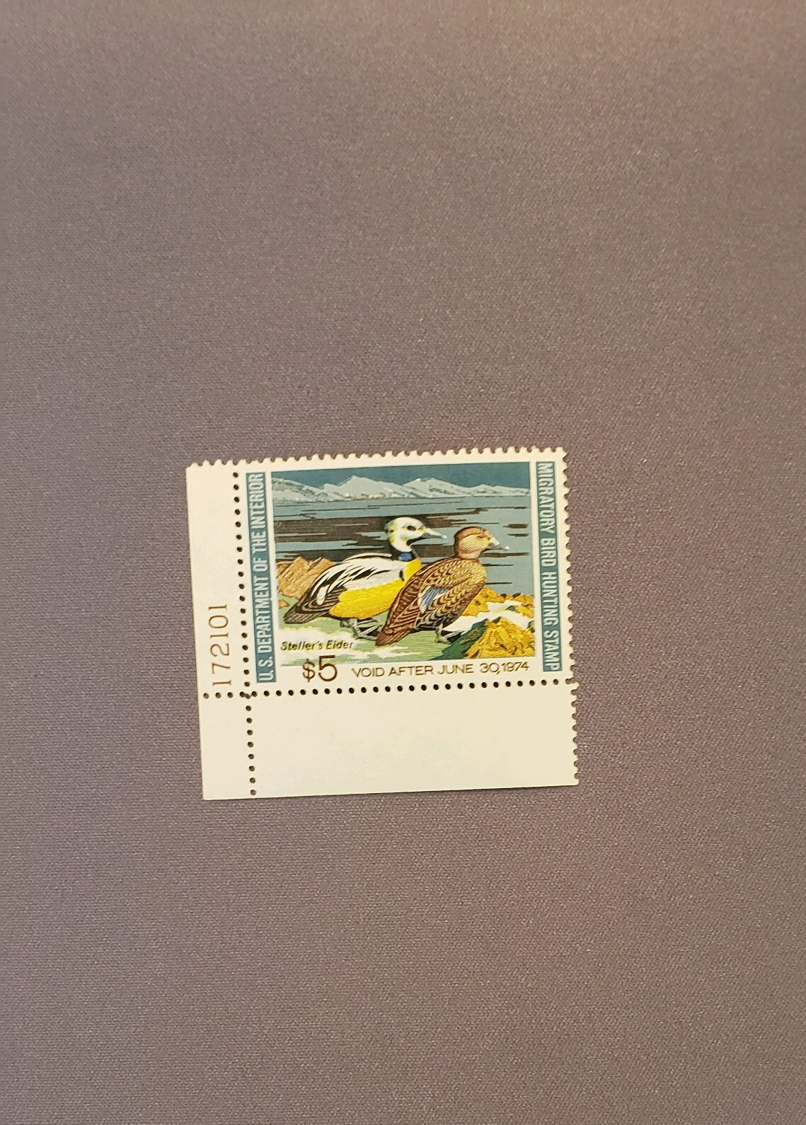 RW40, Steller's Eiders, Mint OGNH, Plate #, CV $50.00 | United States ...