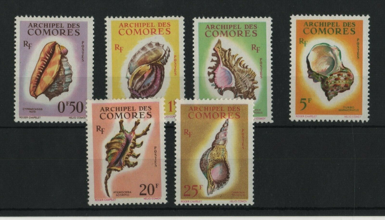 French Comoro Is 1962 Shells set of 6 sg.23-8 hinged mint | Europe ...