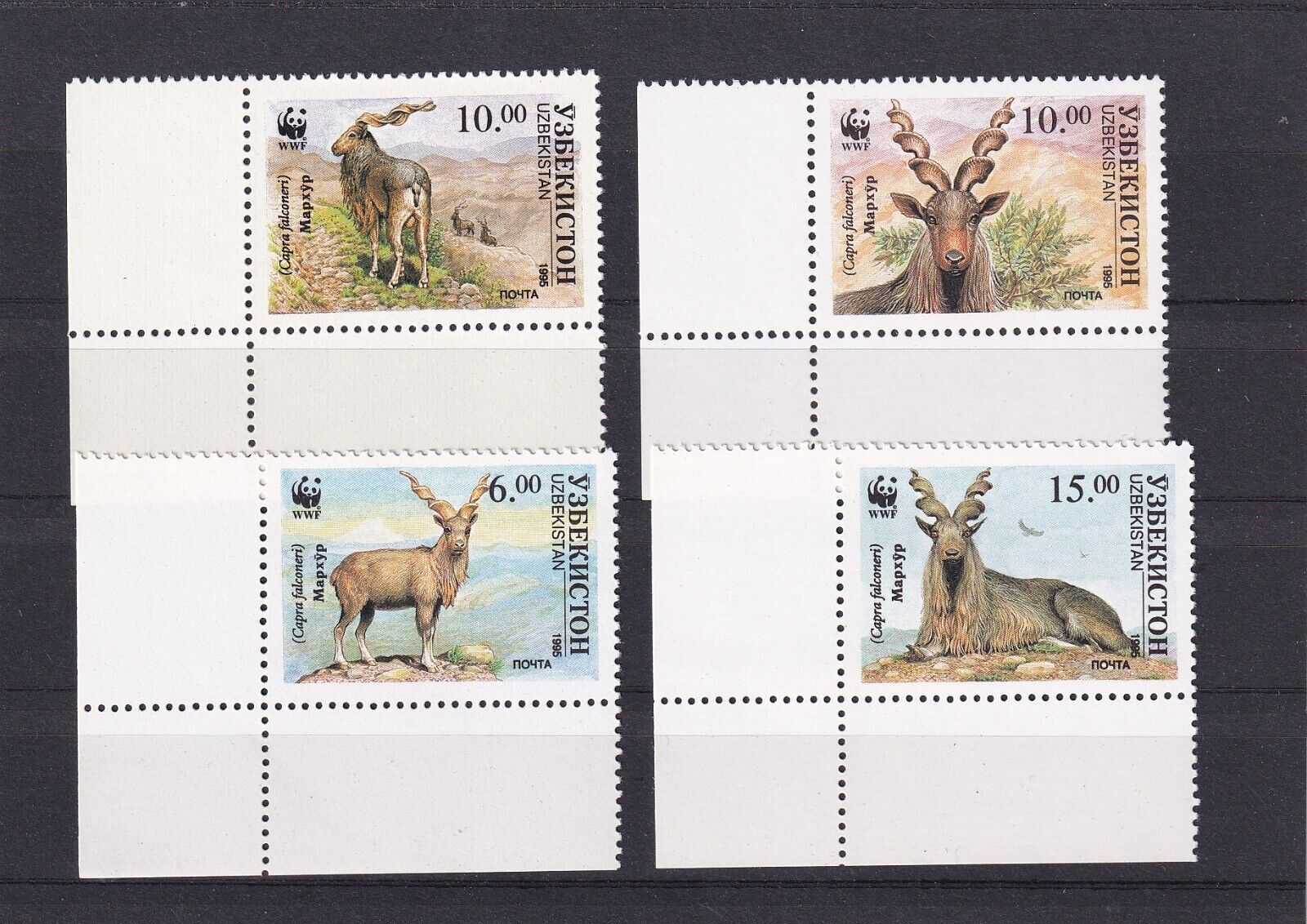 SA12f Uzbekistan 1995 Endangered Species - The Markhor mint stamps ...