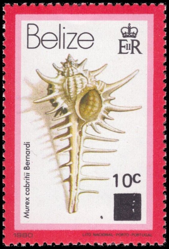 Belize 1979 Sc 422 Seashell | Central & South America - Belize, General ...