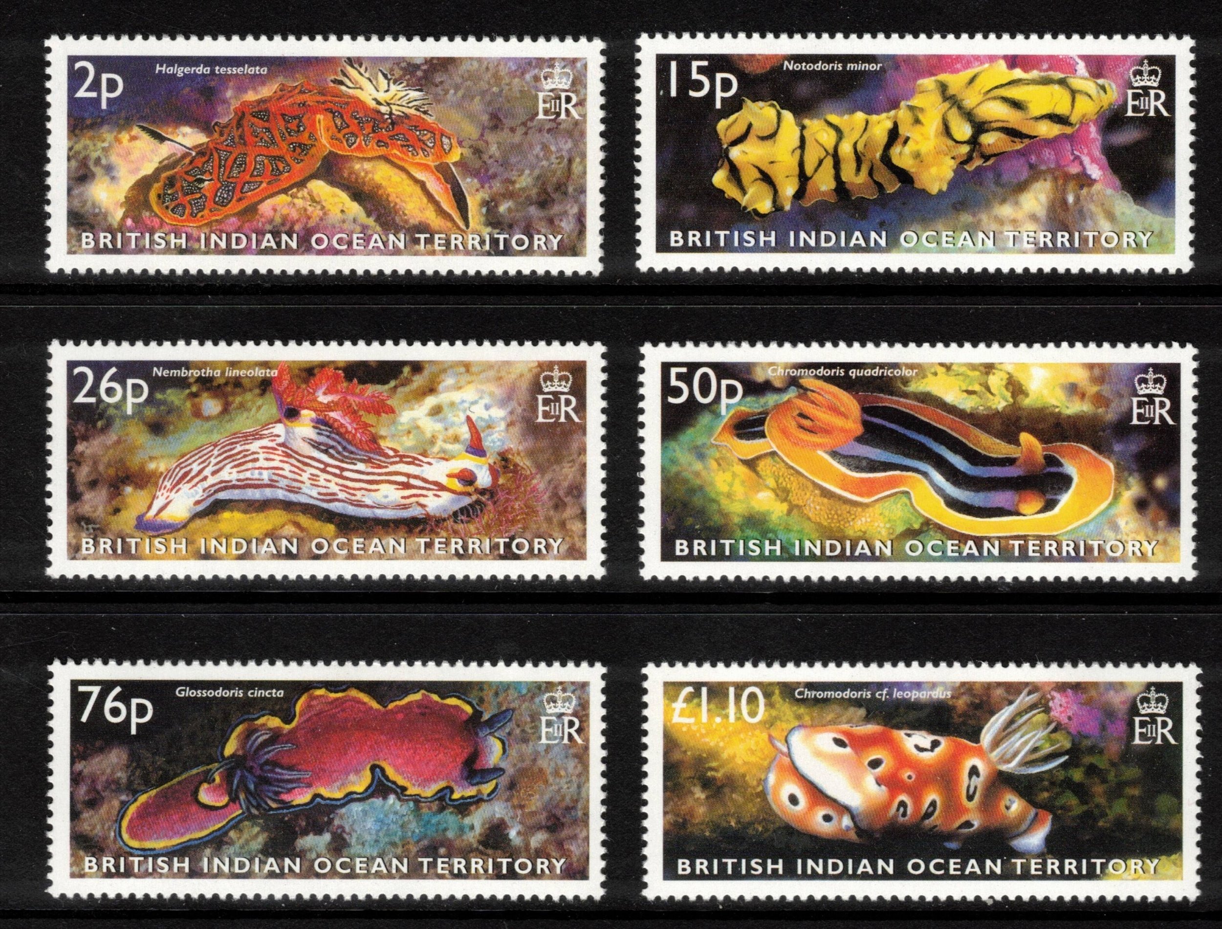 BIOT 2003 Sea Slugs; Scott 255-60, SG 276-81; MNH | Worldwide - Indian ...
