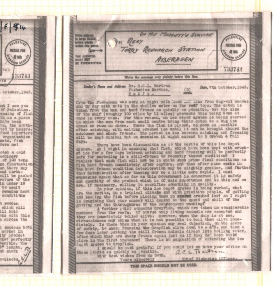 Palestine/GB WW2 Airgraph{2} Haifa *Fish* 1943 Fisheries Research Station Mal15 | Middle East ...