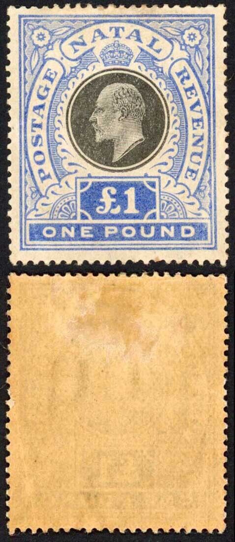 Natal SG142 One Pound Postage Revenue Cat 350 pounds M/M (Toned ...