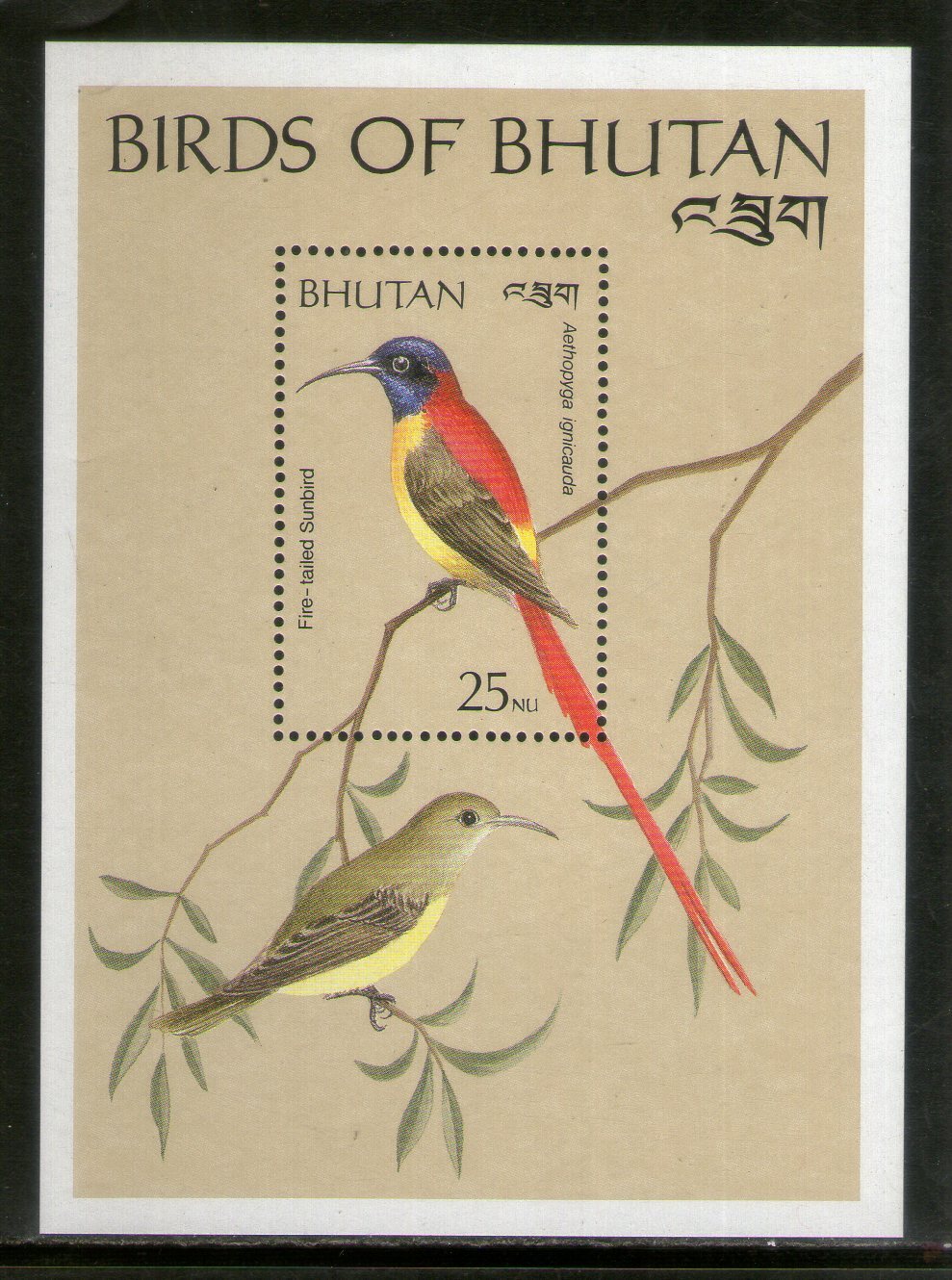 Bhutan 1989 Fire Tailed Sunbird Birds Wildlife Sc 790 M/s MNH # 5126 ...