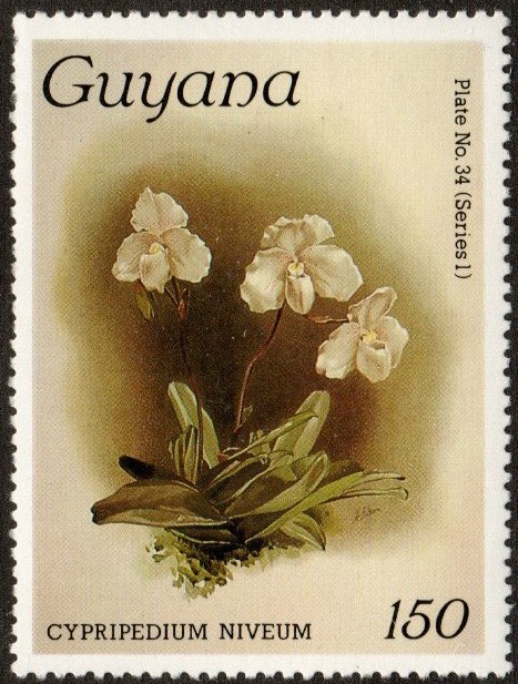 Guyana 1064 - Mint-H - 150c Orchid (1985) (cv $1.50) | Central & South ...