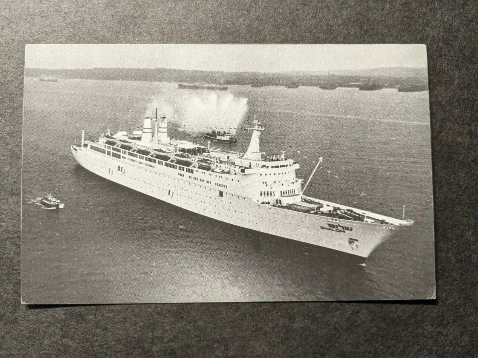 Israeli Ocean Liner SS SHALOM Naval Photo Cruise Ship Postcard | United ...