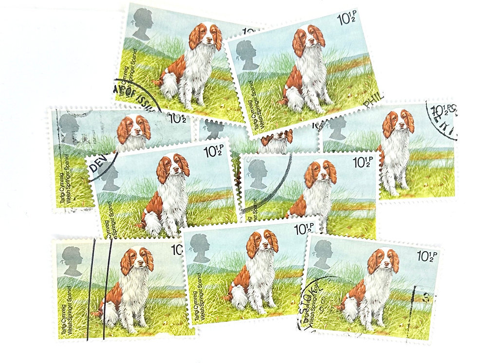 10 x Welsh Springer Spaniel Dog, used, British postage stamps | United ...