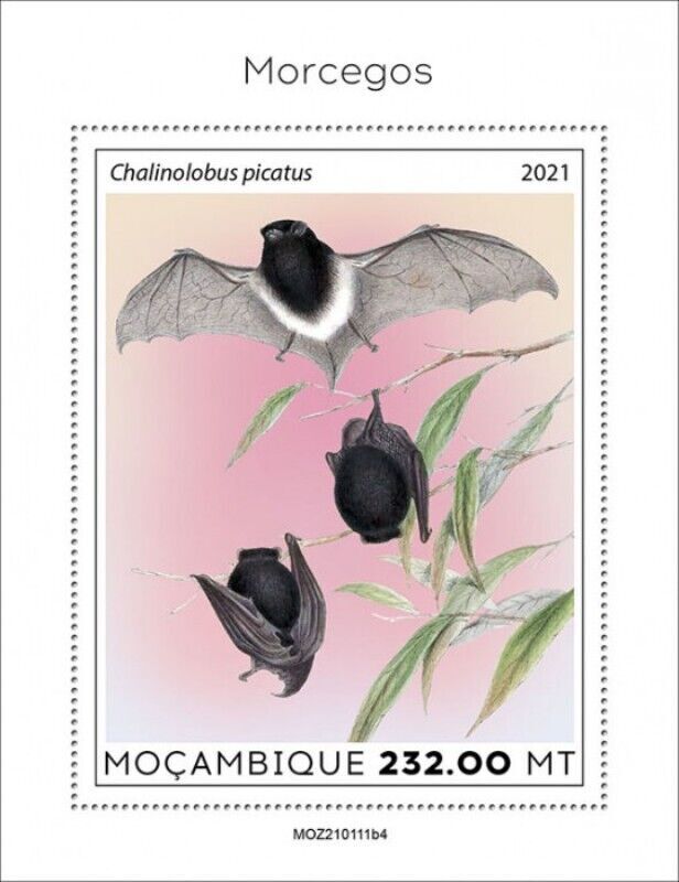Mozambique - 2021 Little Pied Bat - Stamp Souvenir Sheet - MOZ210111b4 ...