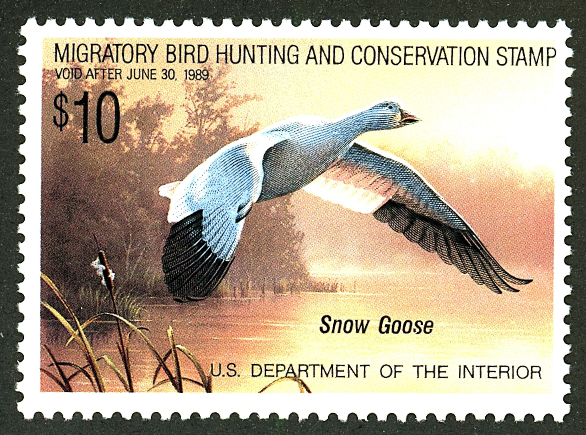 U.S. #Rw55 Mint OG NH | United States, Duck Stamps - Federal Stamp ...