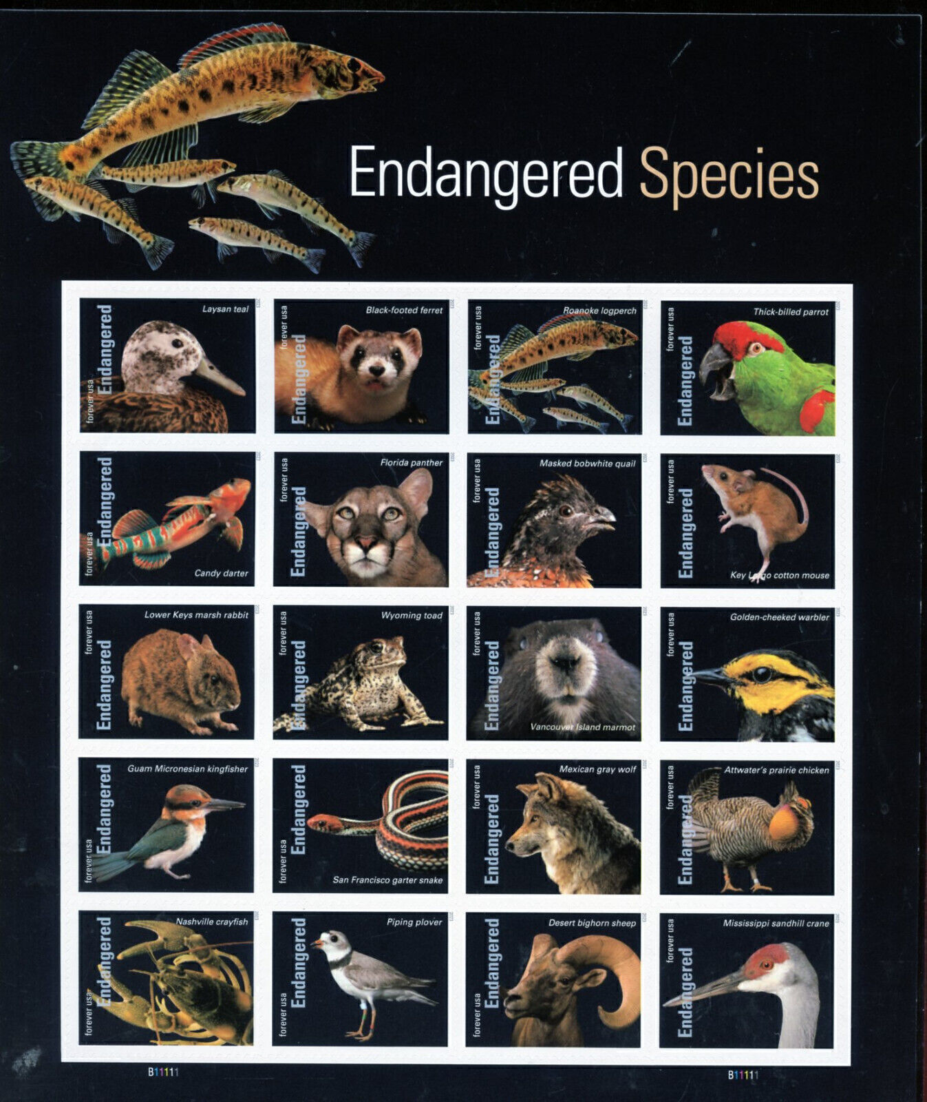 United States Endangered Species Sheet(20) Mint NH | United States ...