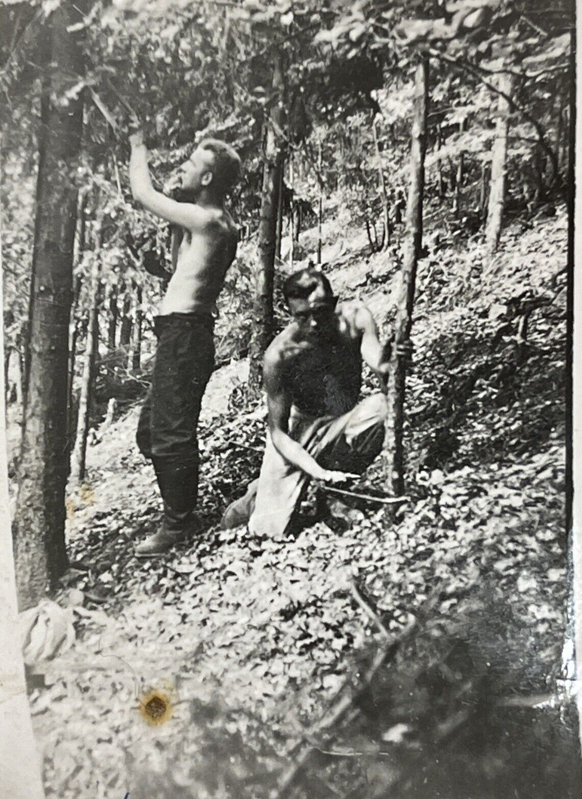 WW2 WWII Original German Military wartime Photo Soldiers Cutting Down ...