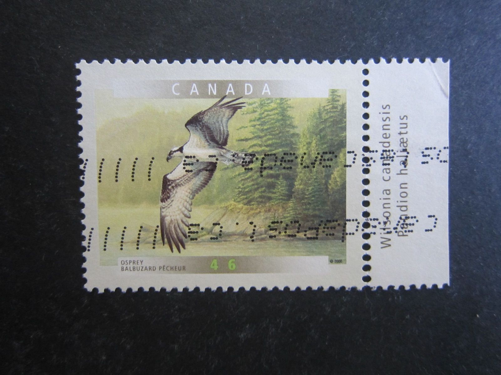 Canada #1840 Birds Of Canada Nice stamps {ca2185} | Canada, General ...