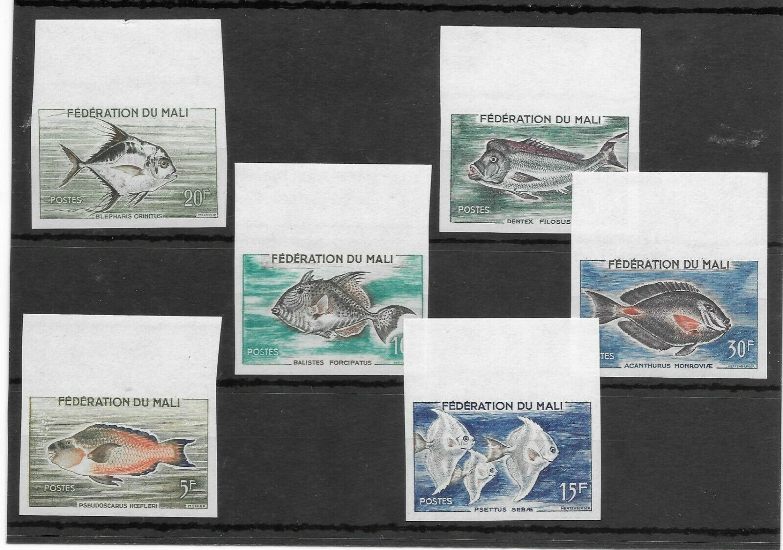 Mali #2-5 & 7-8 MNH Imperf Collection - Very Nice! Stamp Set | Africa ...