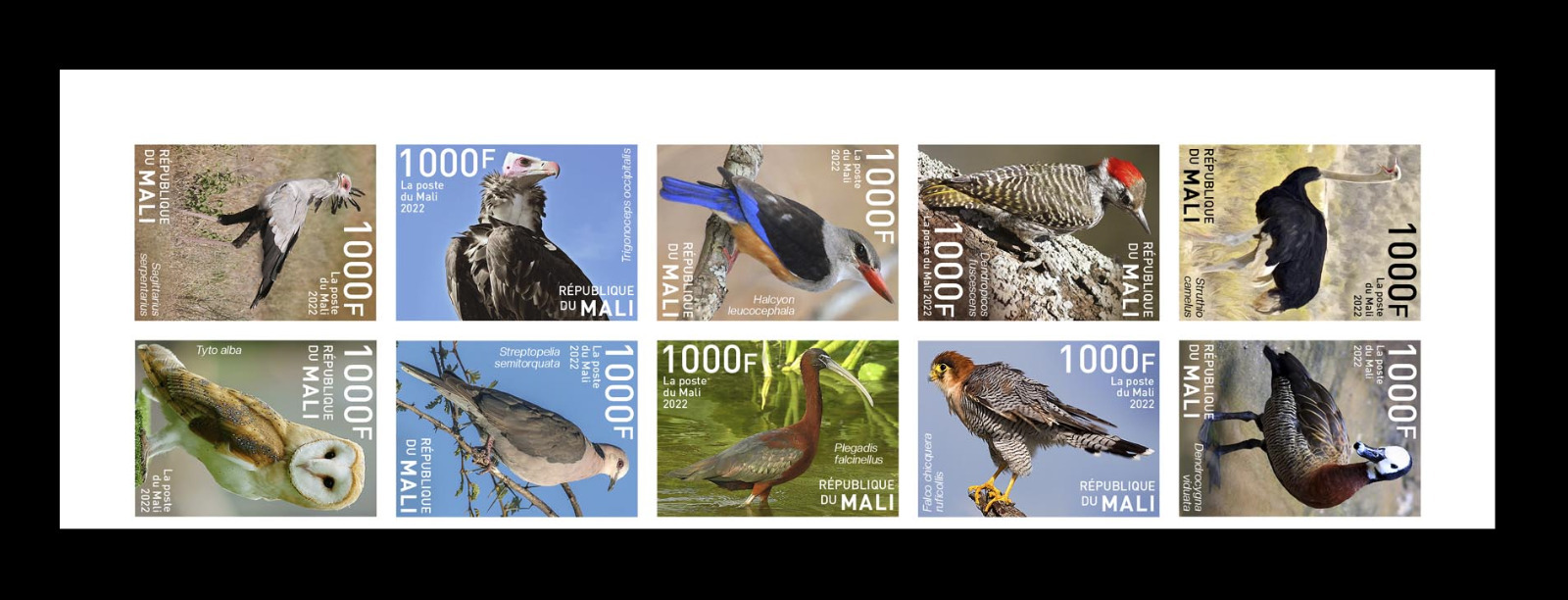 Mali 2022 Imperf SET 10v Ostrich Hawk Eagle Woodpecker Ibis Owls Doves ...
