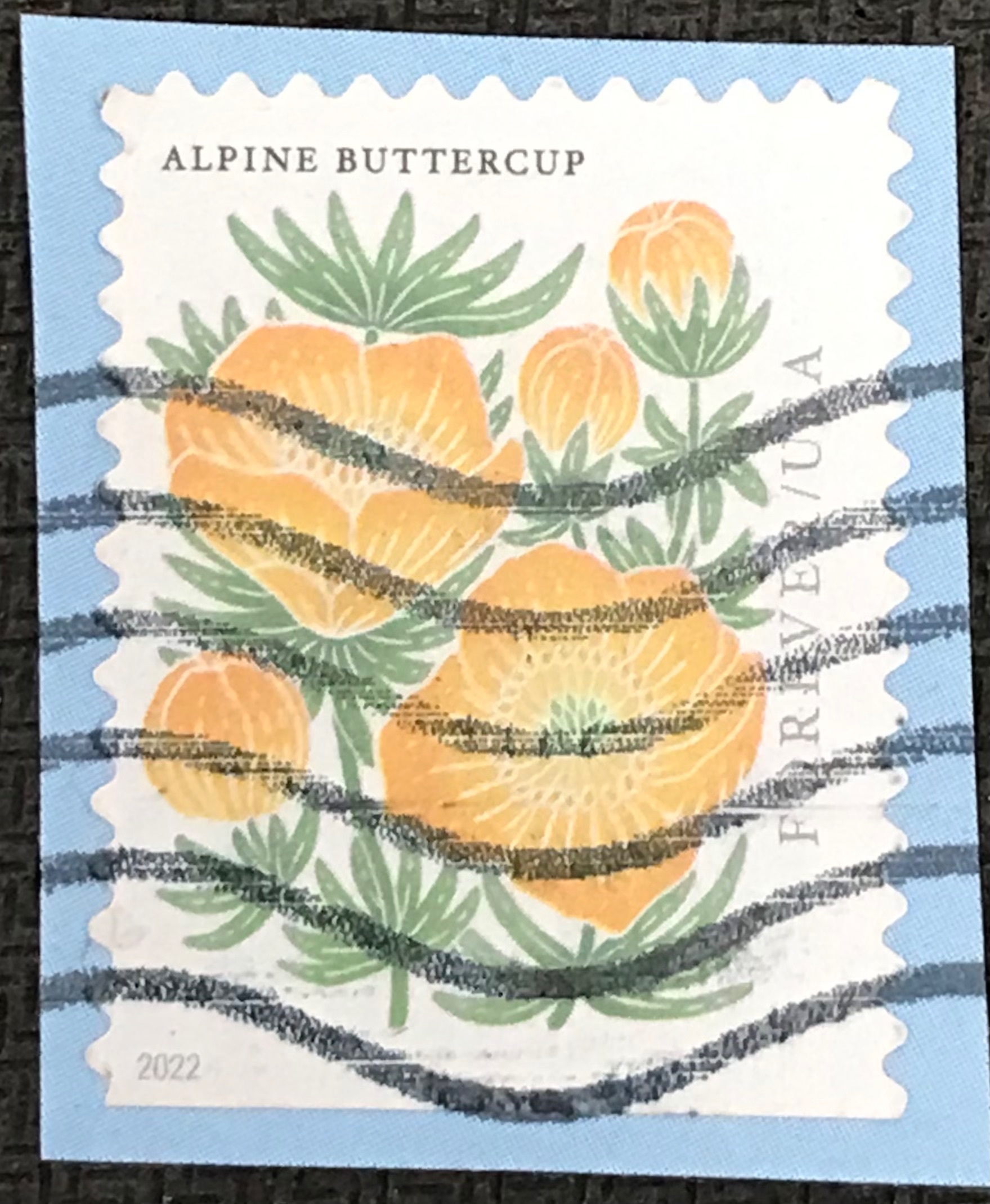 US #5678 Used Booklet Single OP Alpine Buttercup | United States ...