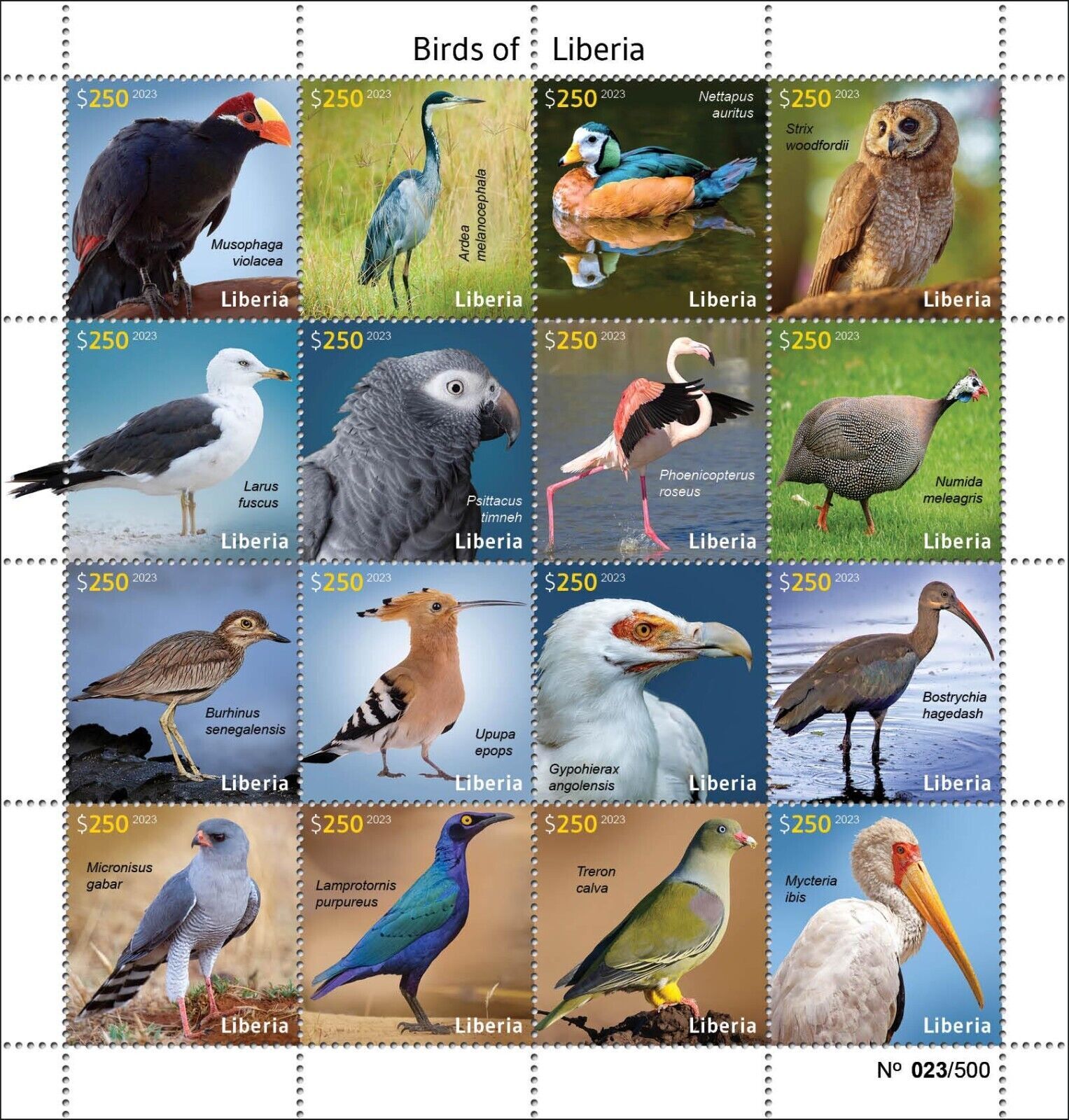 Liberia 2023 Sheet Birds Duck Owls Parrot Flamingo Eagle Dove Hawk ...