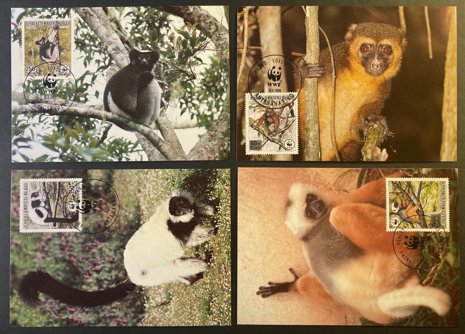 Madagascar 1988 WWF lemurs apes panda MAXI CARD MC set USED | Africa ...