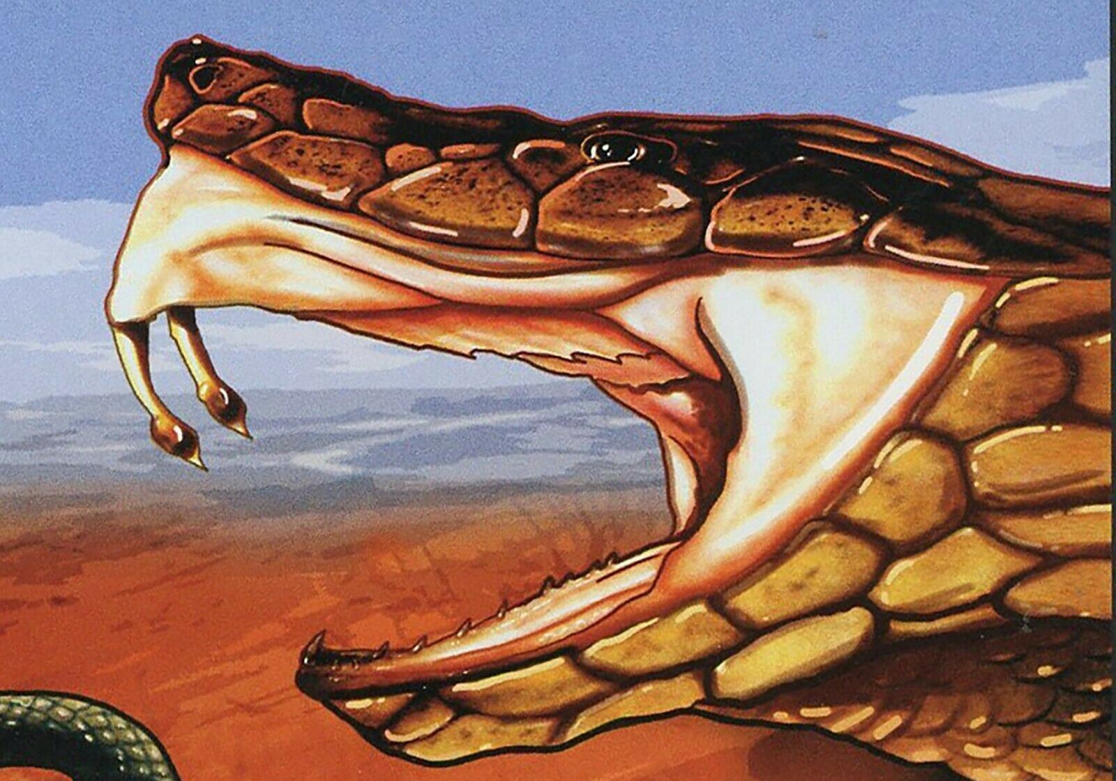 Snakes Stamp Serpente Cobra Reptile Souvenir Sheet MNH | Worldwide ...