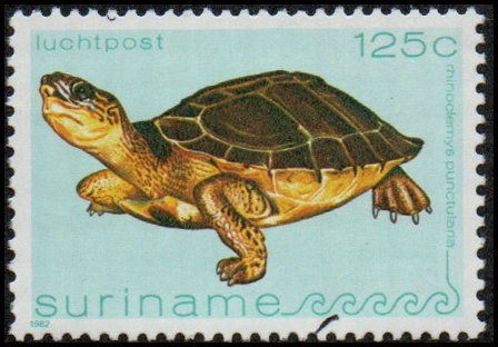 Suriname C100 - Mint-NH - 125c Spot-legged Wood Turtle (1982) (cv $2.15 ...