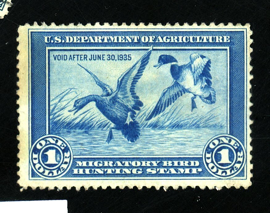 RW1 Mint FVF NO GUM Thin Cat $175 | United States, Duck Stamps ...