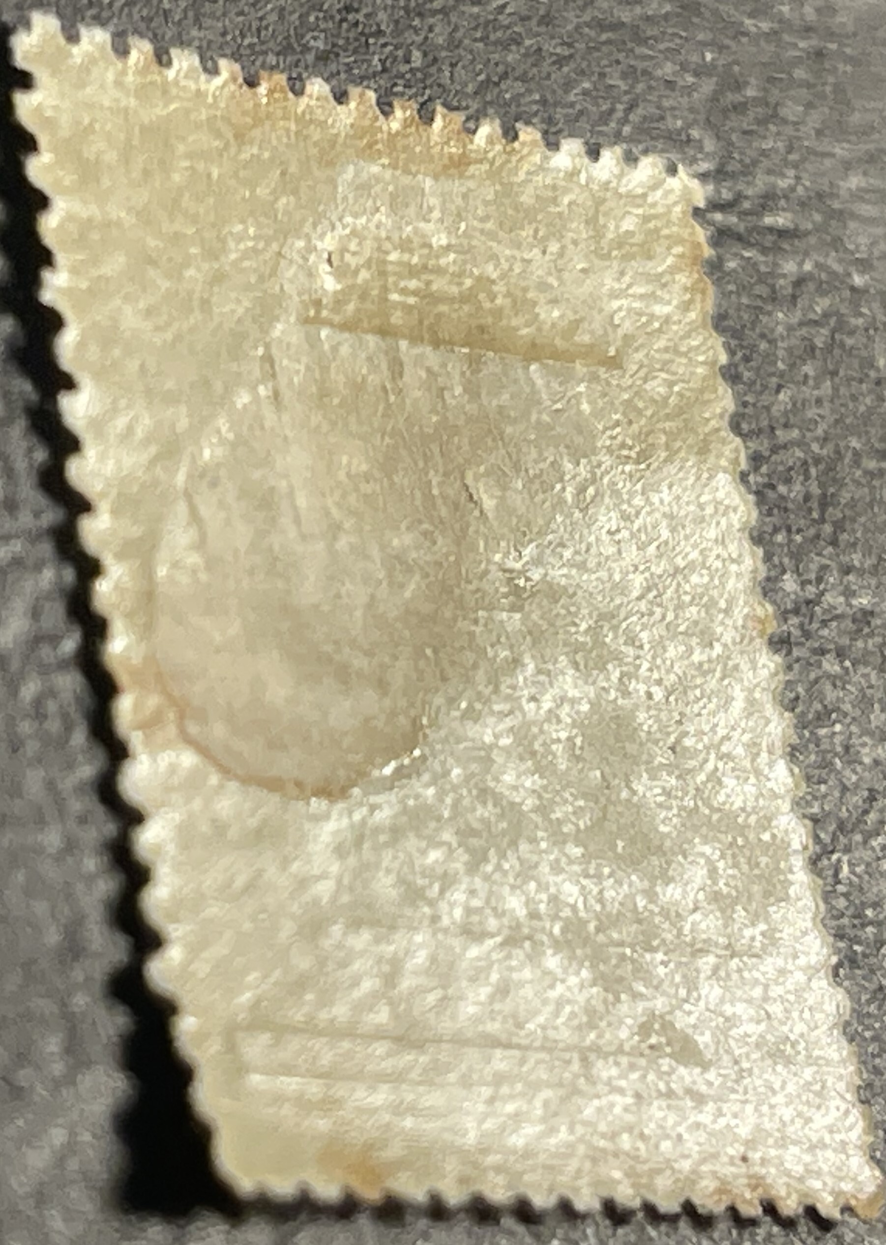 Brunei # 5--Mint/Hinged**Toned Gum**--Single--1906 | Asia - Brunei ...