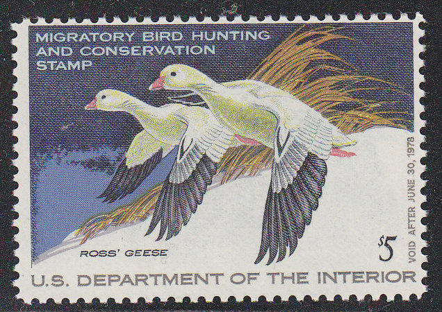 U.S $5 Ross"s Geese, Scott RW44 MNH | United States, Duck Stamps ...
