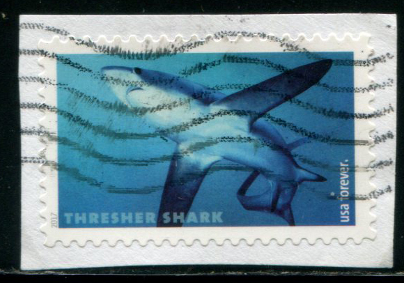 5225 US (49c) Thresher Shark SA, used on paper | United States, General ...