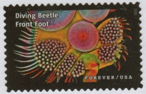 SC# 5802i - (66c) - Life Magnified, Beetle Front Foot - 9 of 20 - Used ...